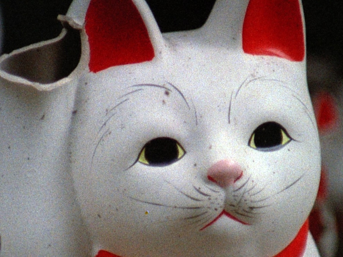 Conversations - Harvard Film Archive