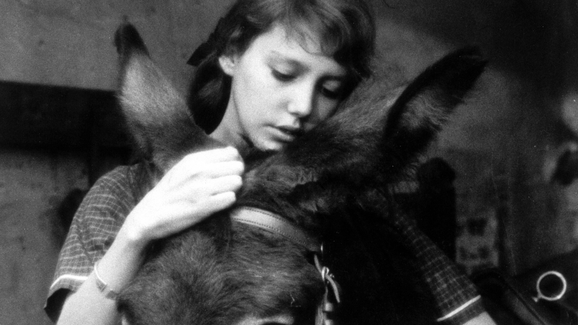 The Complete Robert Bresson - Harvard Film Archive