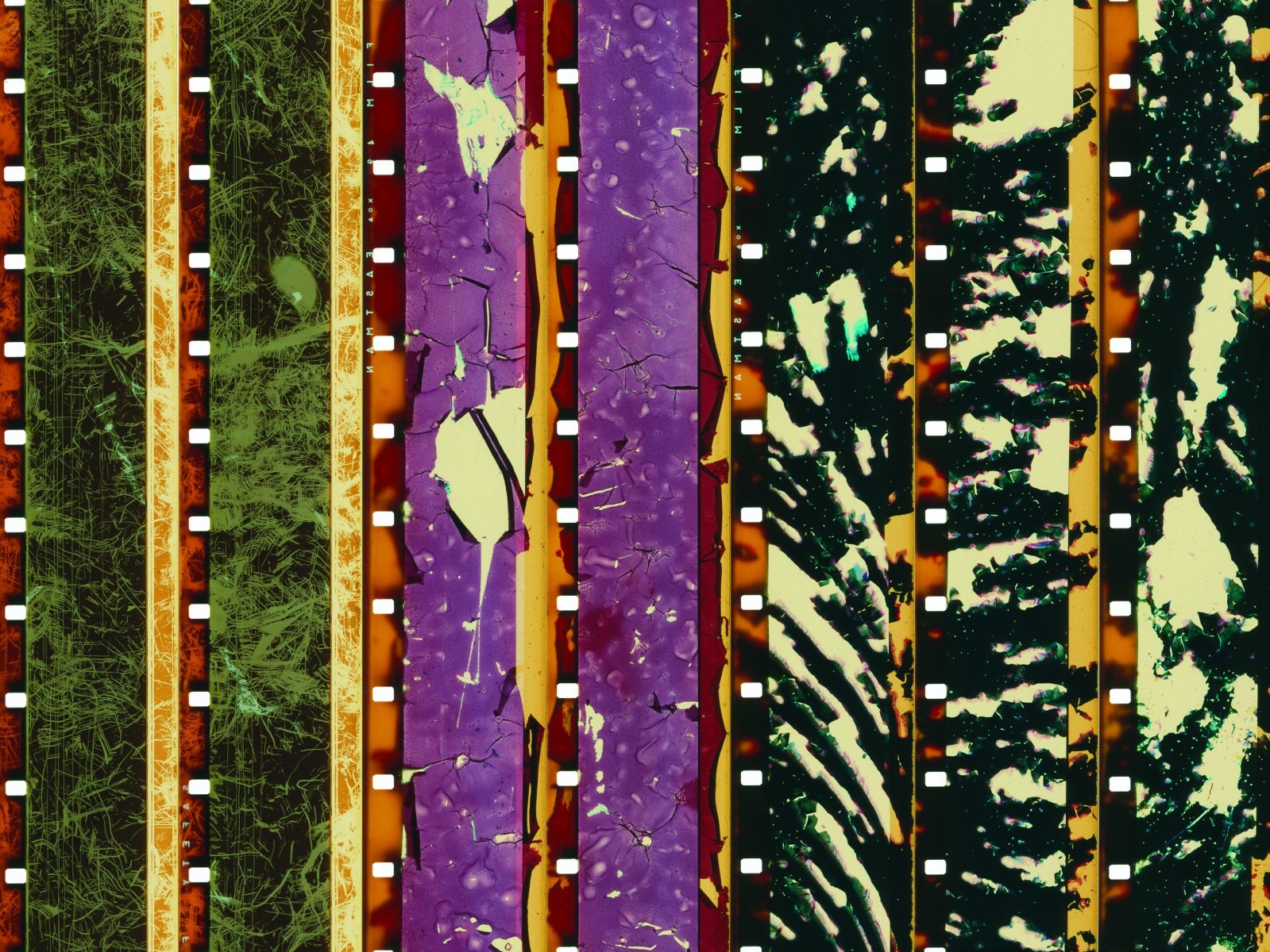 David Gatten's Secret Histories - Harvard Film Archive