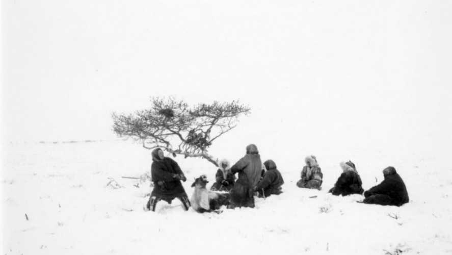 Freeze Frames - Harvard Film Archive