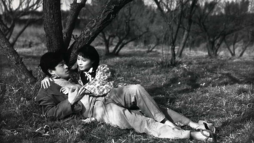 Vanishing Points: The Films of Shohei Imamura - Harvard Film Archive