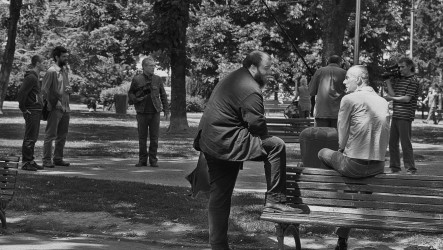 Zelimir Zilnik and the Black Wave - Harvard Film Archive