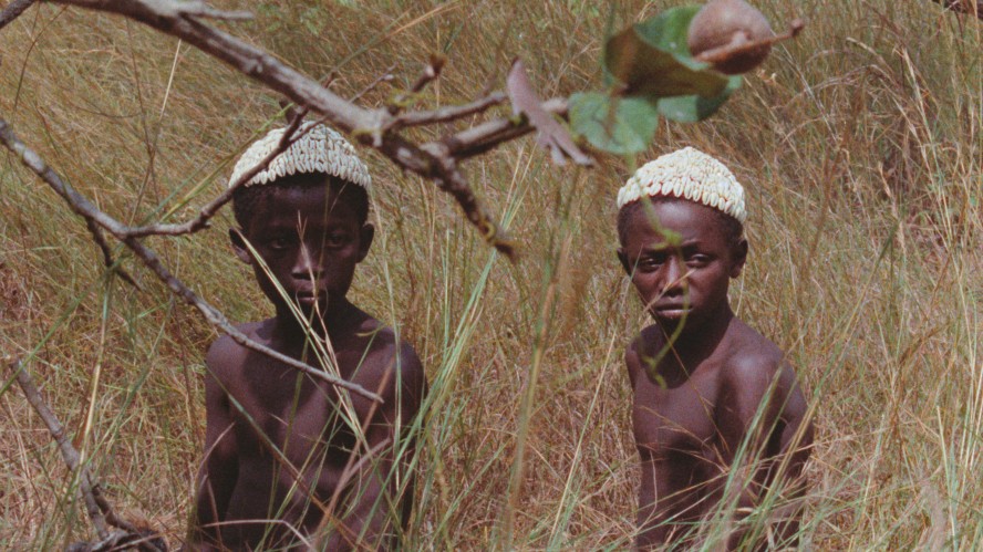 Moolaadé - Harvard Film Archive