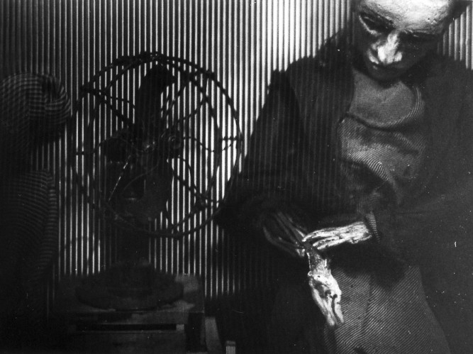 A Tribute to Zeitgeist Films - Harvard Film Archive