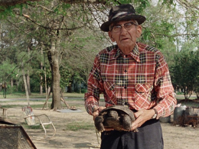 Curious Cinema: An Errol Morris Retrospective - Harvard Film Archive