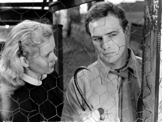 Cold War Paranoia - Harvard Film Archive