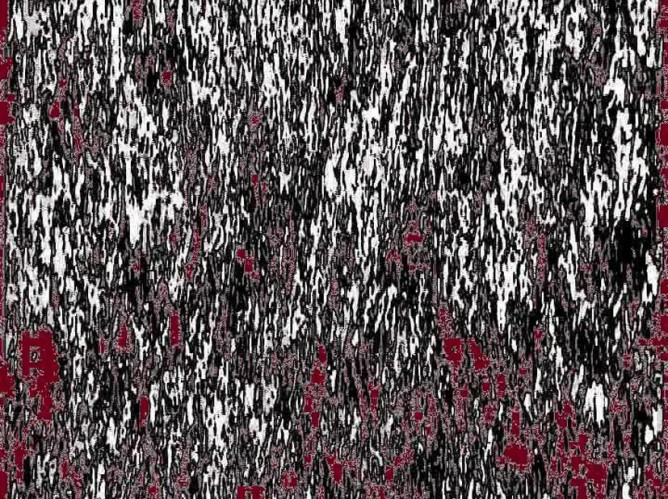 Jon Jost: Digital Works - Harvard Film Archive