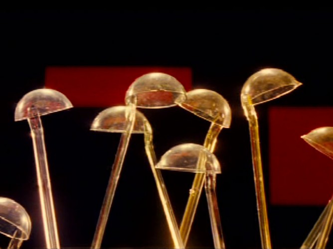 Objects in Motion - Harvard Film Archive