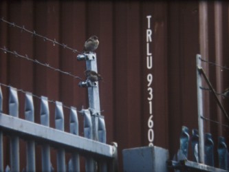 Outside the Sound, the Films of Luke Fowler - Harvard Film Archive