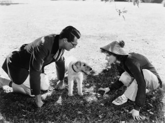 The Complete Howard Hawks - Harvard Film Archive