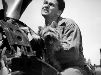The Complete Howard Hawks - Harvard Film Archive