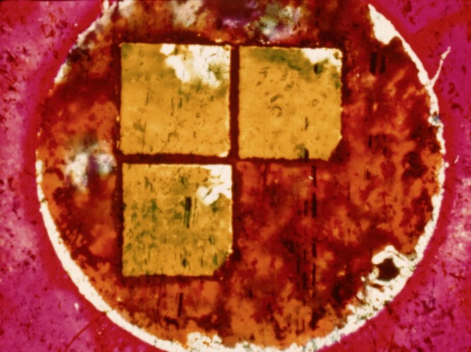 Harvard Film Archive