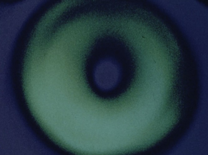Jordan Belson by Raymond Foye - Harvard Film Archive