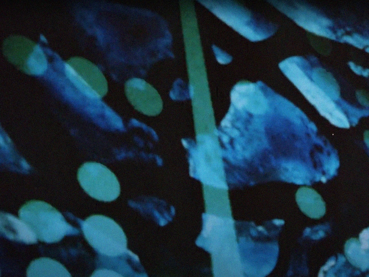 Stan Brakhage: In Memoriam - Harvard Film Archive